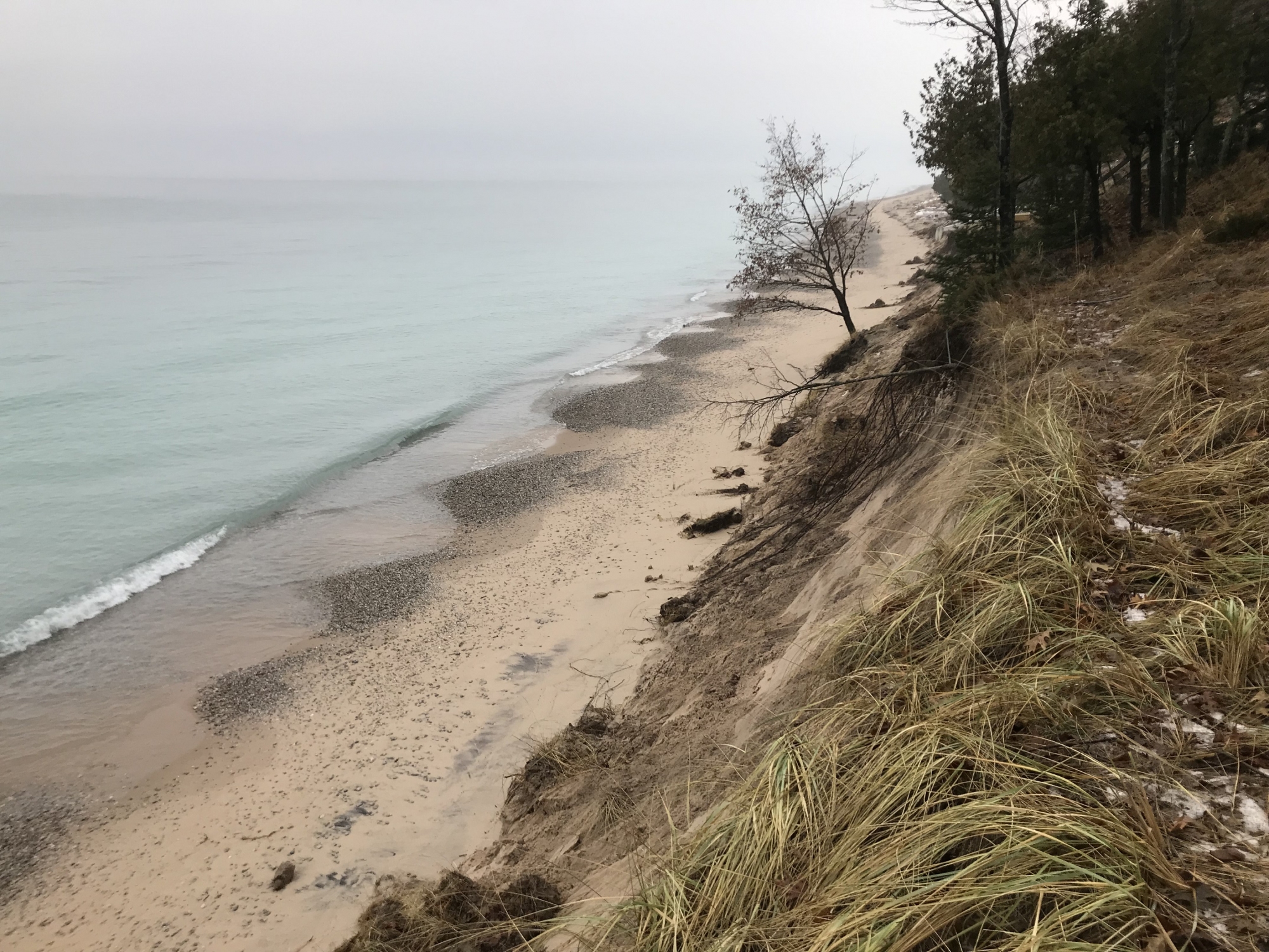 Combating Shoreline Erosion